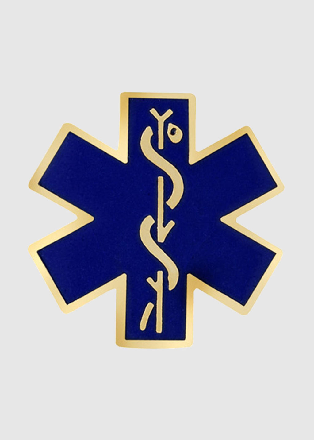 Prestige 2012 Unisex Star of Life Pin
